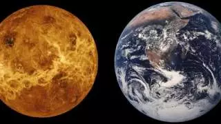 Os científicos dixeron que algunhas criaturas que vivían na terra podían chegar con Venus