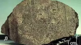 Katika Meteorite ya Martian kupatikana katika Antaktika kupatikana ishara ya maisha