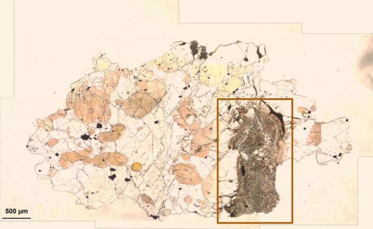 Katika Meteorite ya Martian kupatikana katika Antaktika kupatikana ishara ya maisha