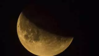 Am St.. Petersburg, goufen et Beobachtungen vun engem private LunAR Ecliplipliplieder, awer net sou datt d'Manifestatioun gestart