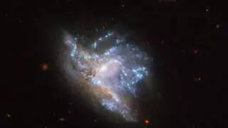 NASA showed a photograph of two facing galaxies