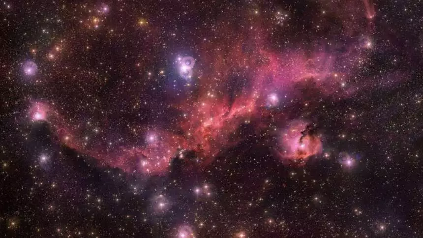 Astronomers showed fascinating appearance of cosmic "seagulls"