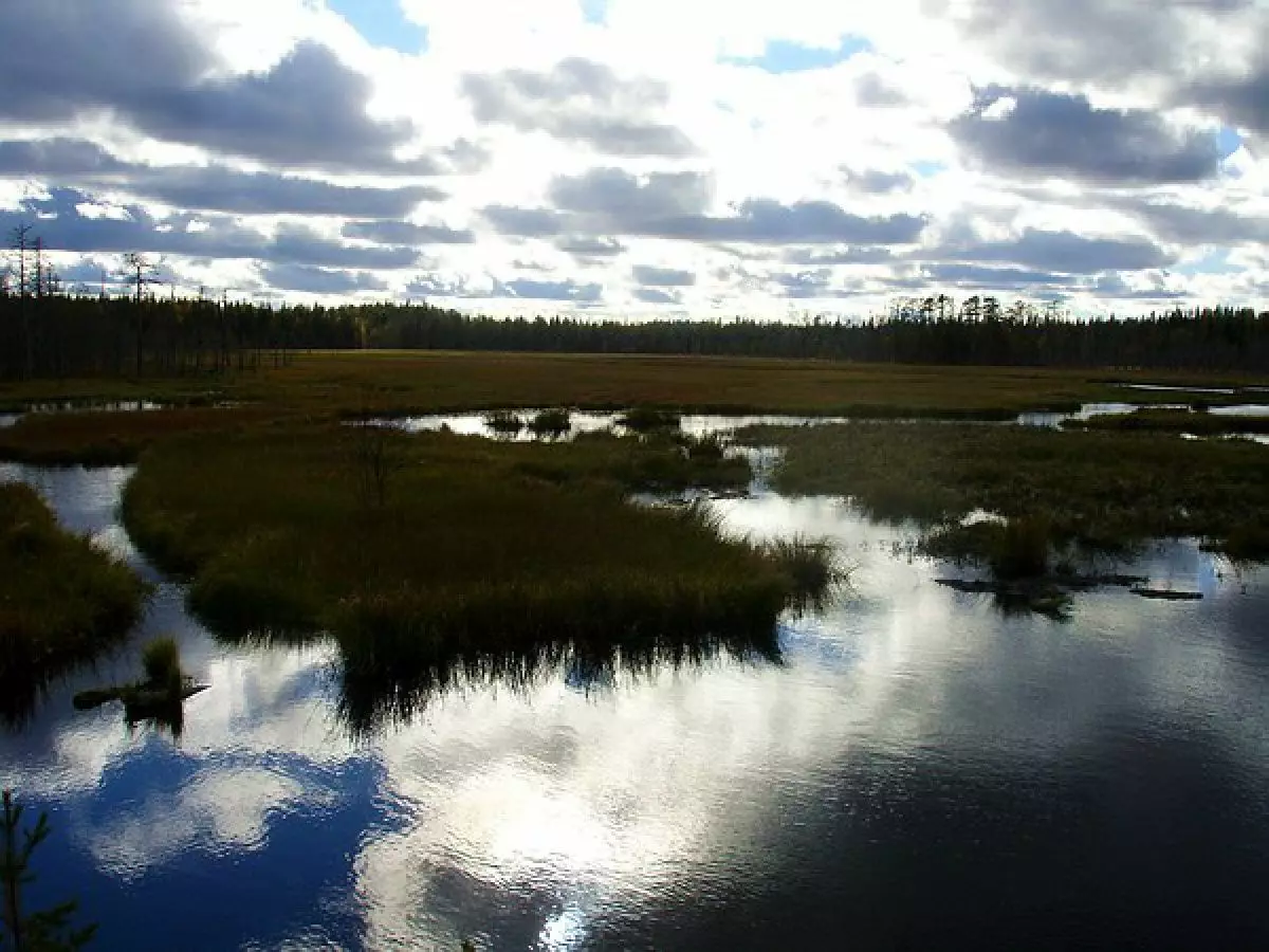 Cherepovetsky padura - anomalia mistikoa edo naturala