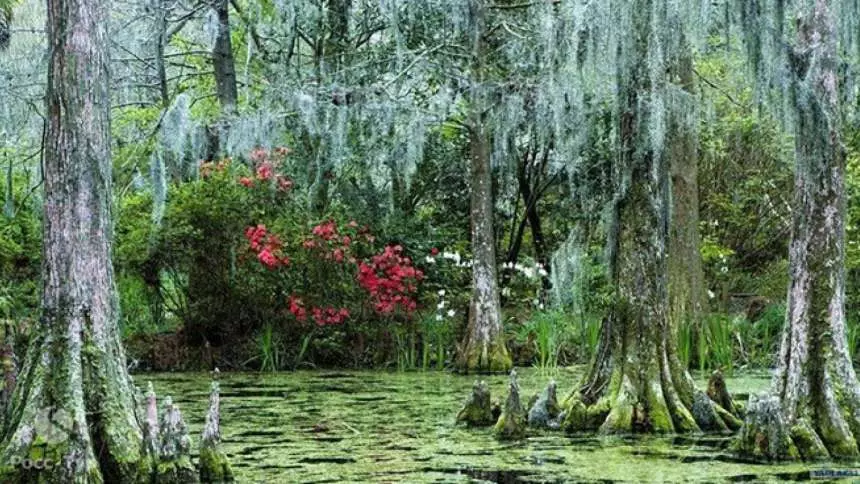 Isiqalekiso se-Milccons esiyinkimbinkimbi (Louisiana, USA)