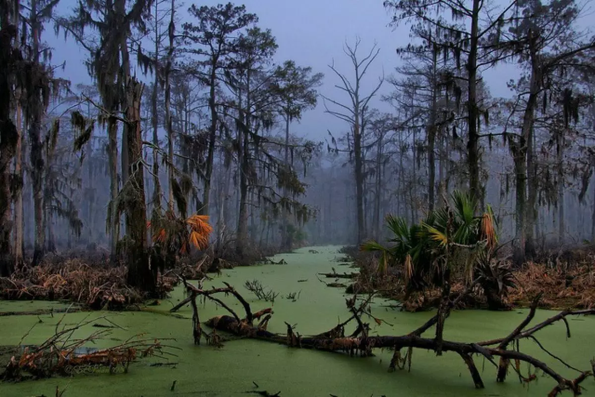 Curse of the Complex Milccons Complex (Louisiana, EE. UU.)