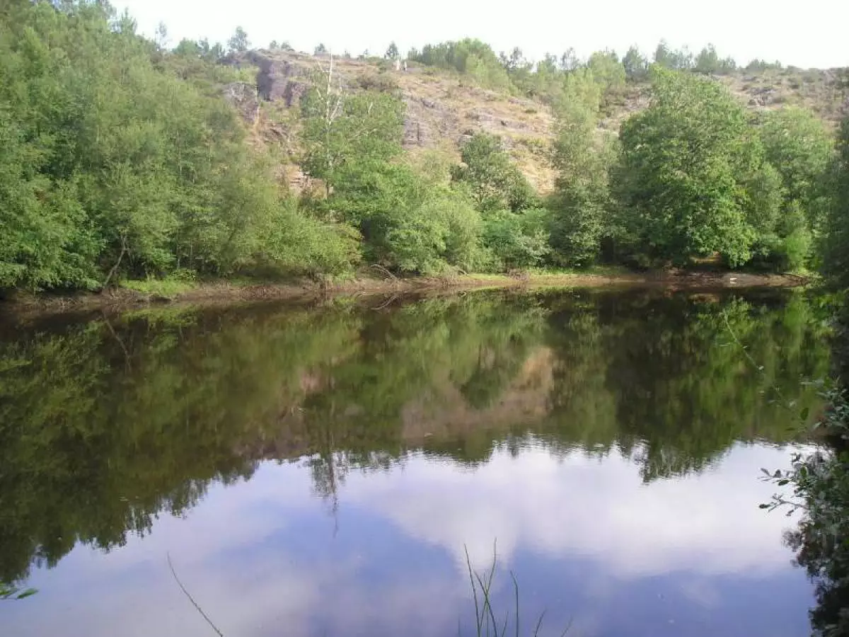 Anomalías de Breton Forest