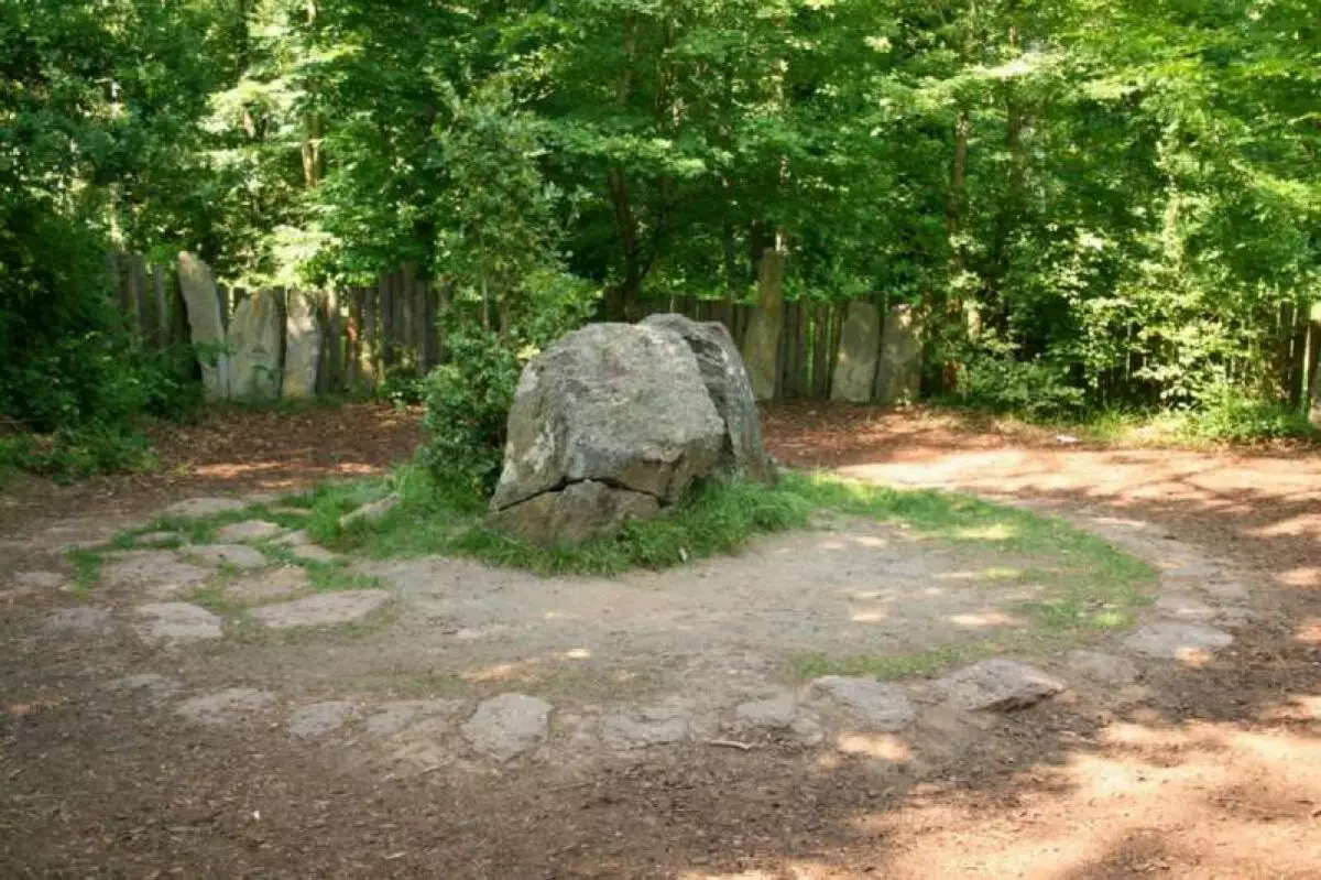 Anomalías de Breton Forest