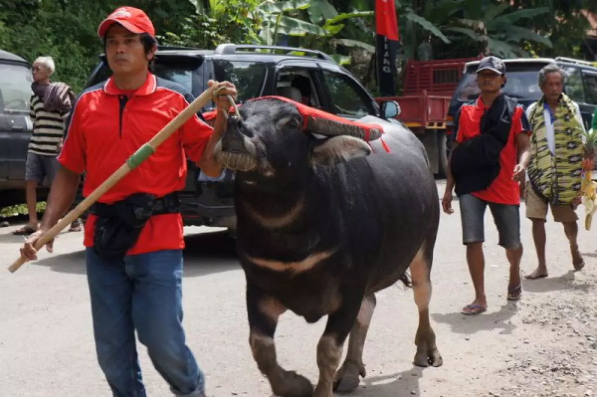 Ritus keagamaan menyeramkan: orang-orang 