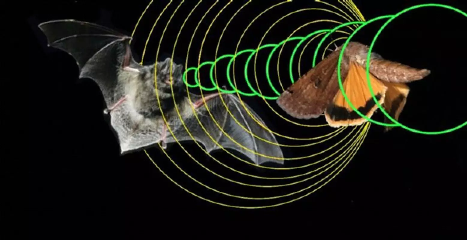 Una selección de sorprendentes superconductores humanos que realmente existen.