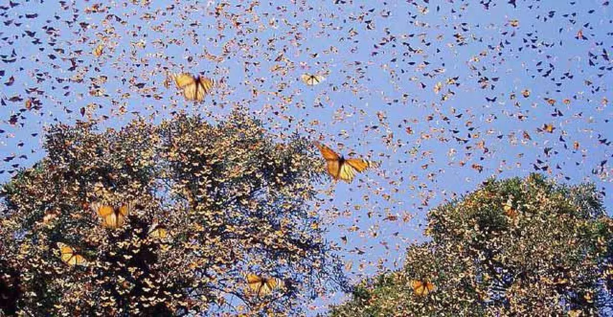 Ang pinaka-hindi pangkaraniwang at magandang likas na phenomena, na maaari lamang sundin sa lupa