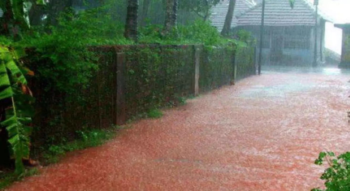 印度的血雨谜