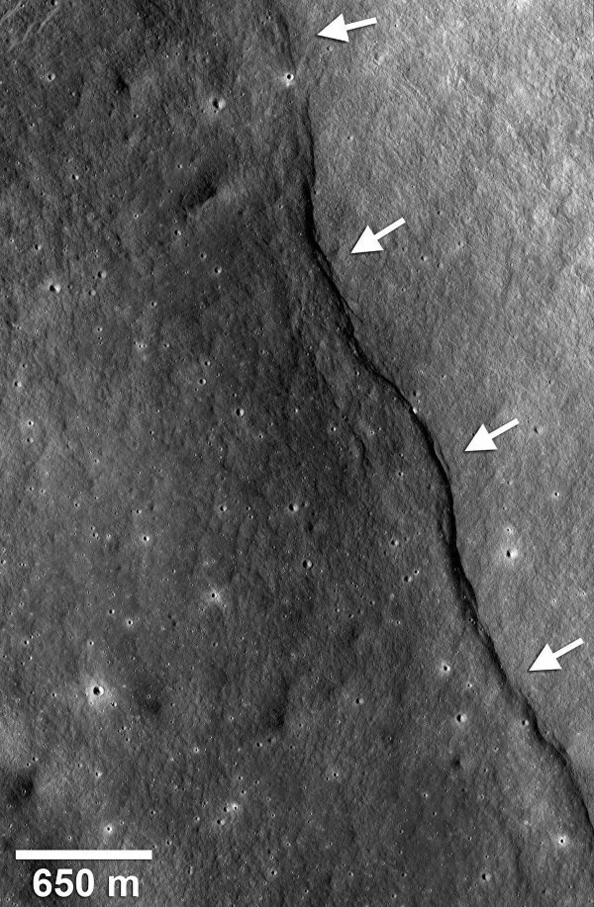 Sciencistoj trovis pruvojn, ke tektonaj kaj sismaj procezoj okazas sur la luno ĝis hodiaŭ.