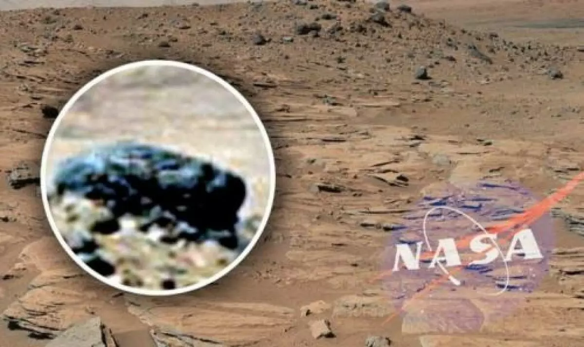 Ўфолаг Скот Уорінг паведаміў пра выяўленне на Марсе чэрапа «Чужога»