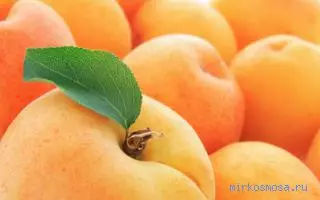 apricot အရှေ့အမျိုးသမီးအိပ်မက်စာအုပ်၏အိပ်မက်များကိုဆိုလိုသည်။ ၎င်းသည် apricot အိပ်မက်မက်သည့်အိပ်မက်ကိုဆိုလိုသည်