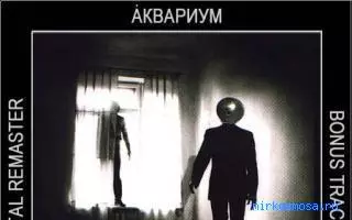 Akvaarium - Uusim Dream Book Ivanova