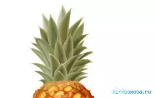 Ananas