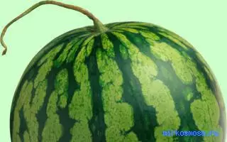 Watermelon - nofinofy nofinofy martyn zada