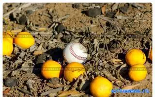 Baseball - Akwụkwọ Akwukwo Ire Ivanova