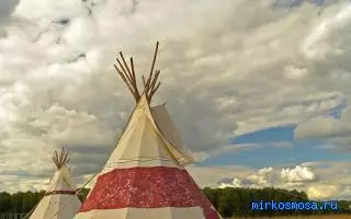 Wigwam - Sueño psicoanalítico Selfwalvan