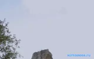 സ്റ്റീന - ഏറ്റവും പുതിയ സ്വപ്നം ഇവാനോവ