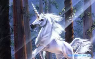 Unicorn - Impian Noble Grashanina