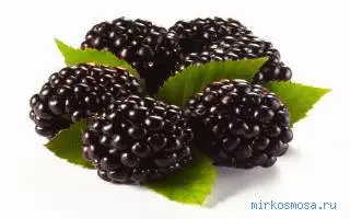 BlackBerry - itumọ ala ti awọn ololufẹ