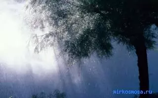 Дощ - Італійський сонник Менегетті