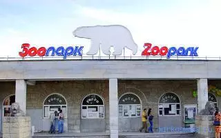 Zoo - Психоаналитик sonnik samokhvalov