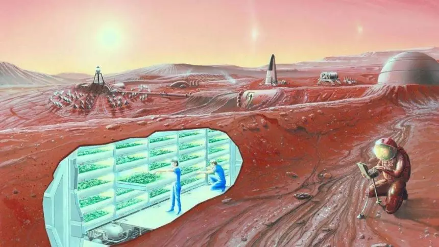 Марс туфрак үсемлек эшкәртү эксперименты өчен ялган сөйләде