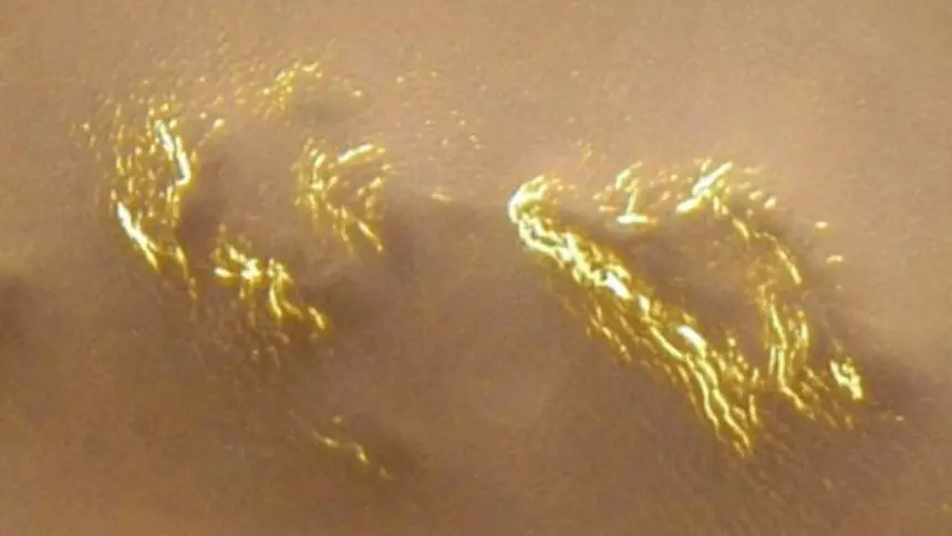 菌兵在火星上发现了黄金