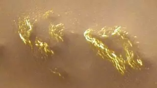 Ufologist mendakan emas di Mars
