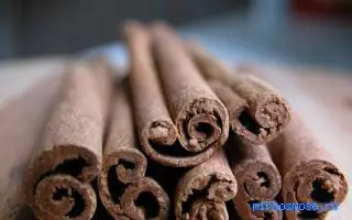 Cinnamon - Kabulonnik Grishina