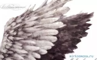 Wings - Ntụgharị uche na-awagharị