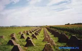 ಲೈನ್ - ಆಧುನಿಕ ಡ್ರೀಮ್ ಬುಕ್