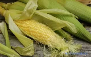 Corn - Wandereri unistuste raamat