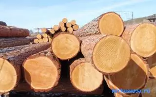 LARCH - Նորագույն երազանքի գիրքը Իվանովա