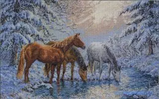 Horse - Maya Dream