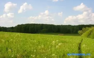 Meadow - মদ ইংরেজি দক্ষতা ড্রিম ব্যাখ্যা