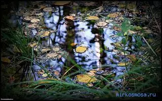 Puddle - Ang paghubad sa damgo sa Russia