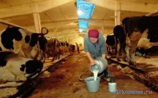 Milch - der Frühlingstraumtraum von Tafels