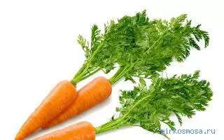 Carrot - Tsev Neeg Tshiab Tsev Neeg npau suav