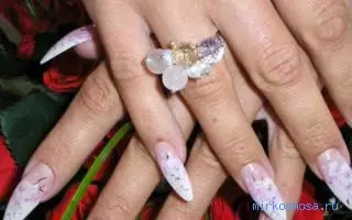 Nails - Interpretarea viselor Hasse