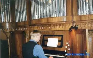 Organist - psihoanalitička knjiga snova Samokhvalov