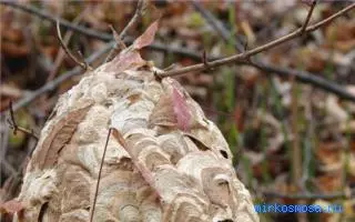 আঙুল - ড্রিম ড্রিম হাসি