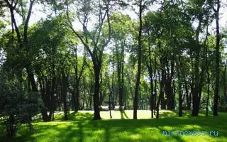 Park - Sheremen rèv