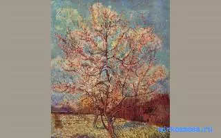 Peach Tree - Kozhalyannik Grishina