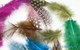 Feathers - Vintage Fabkis npau suav