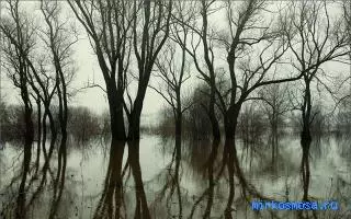 Pilti - svajonių interpretacija Wanderer