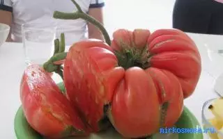 Tomato - Idzva Rota Rota Rota Bhuku