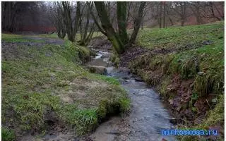 Creek - unistuste tõlgendus Veles